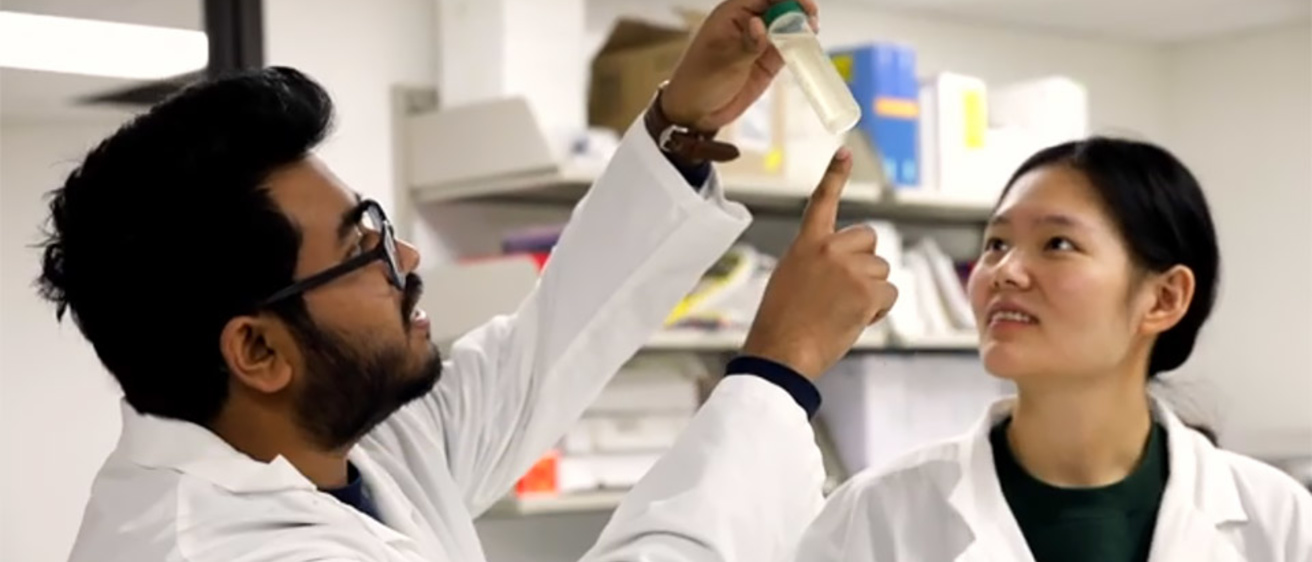 Human Toxicology | Graduate College | The University of Iowa